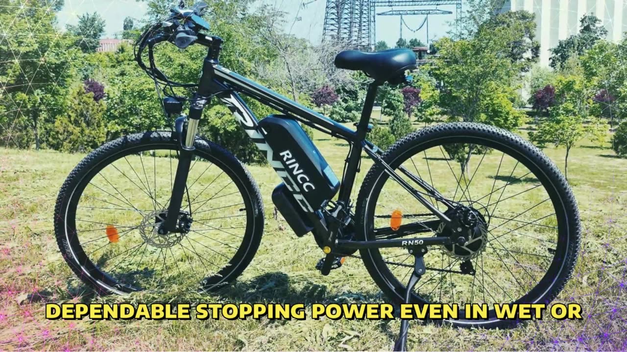 Rincc RN50 Electric Bike 750W Motor 48V 15AH Battery 29 Inch MTB ...