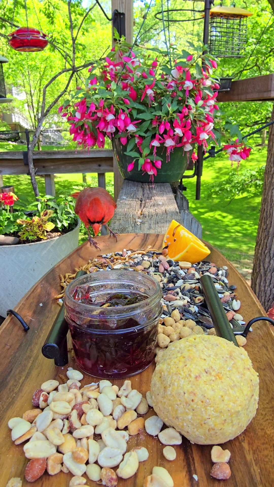 Chirp-Cuterie Board Delights Various Birds