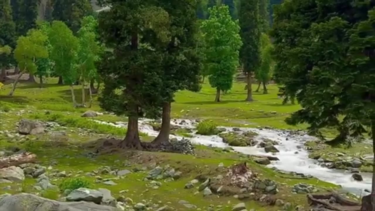4k HD Nature Video Relaxing Nature 4K