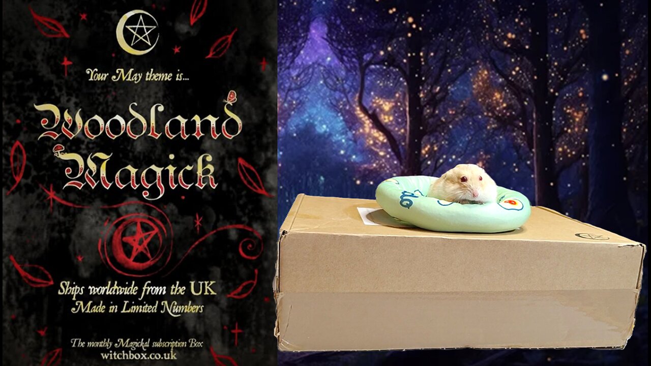 Witchbox May 2025 - Woodland Magick Mystery Witchcraft Subscription Box