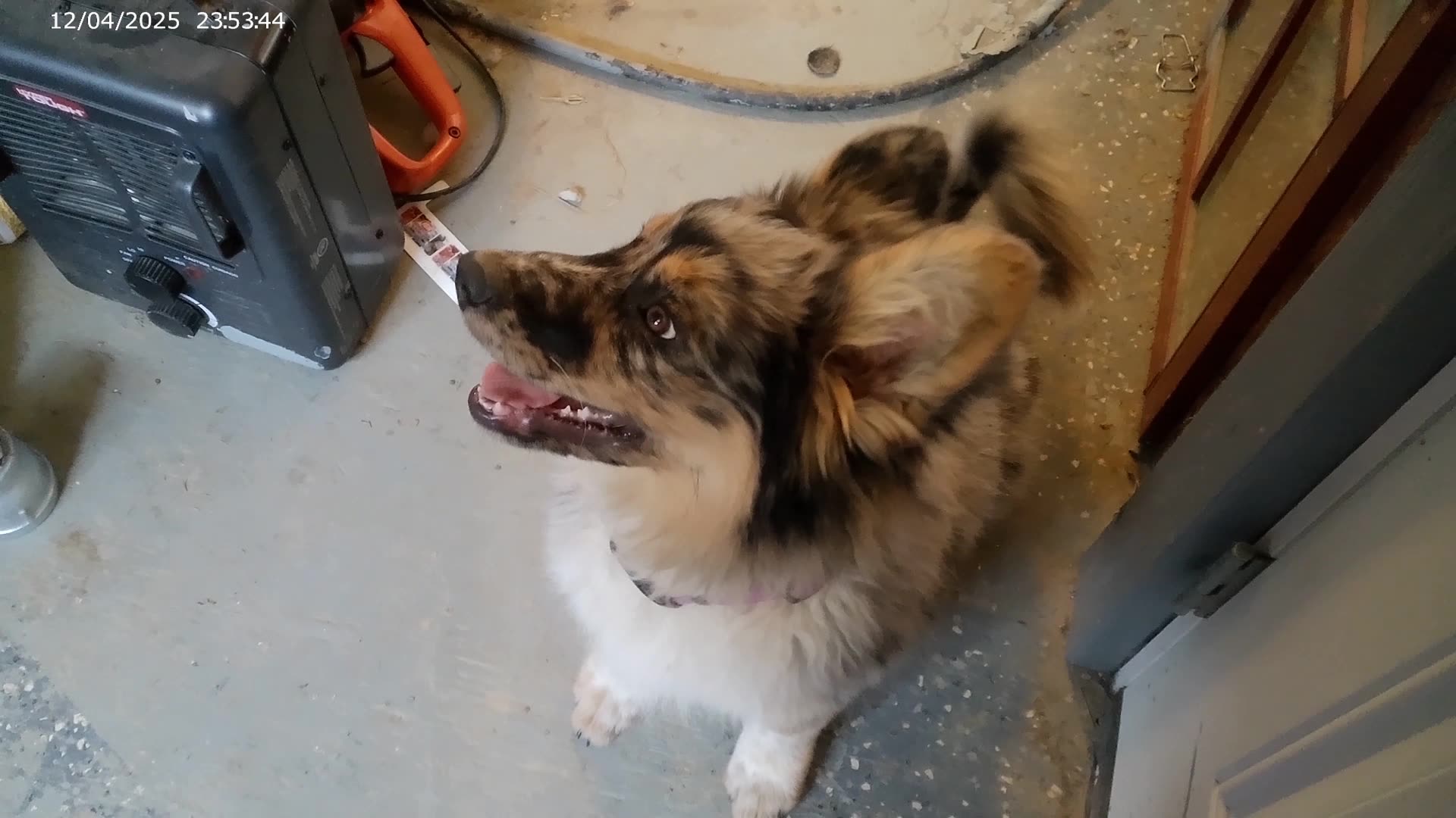 Flock it Farm: Flocking Spring Update: ducklings, off grid water and ...