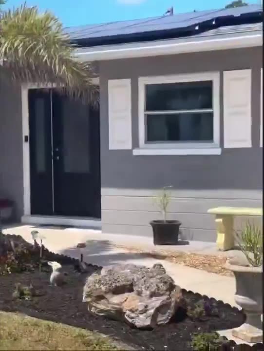Pregnant girlfriend catches her boyfriend at the home of a pant-less ...