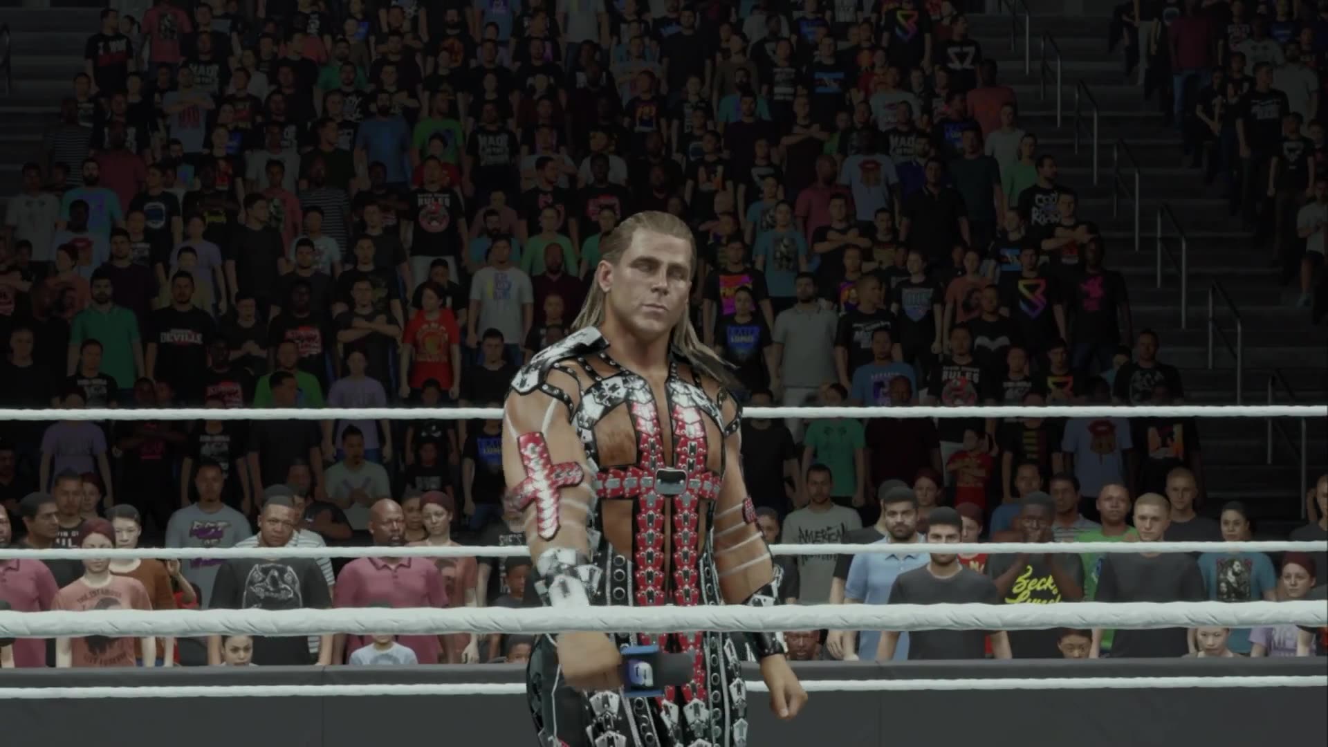 Shawn Michaels