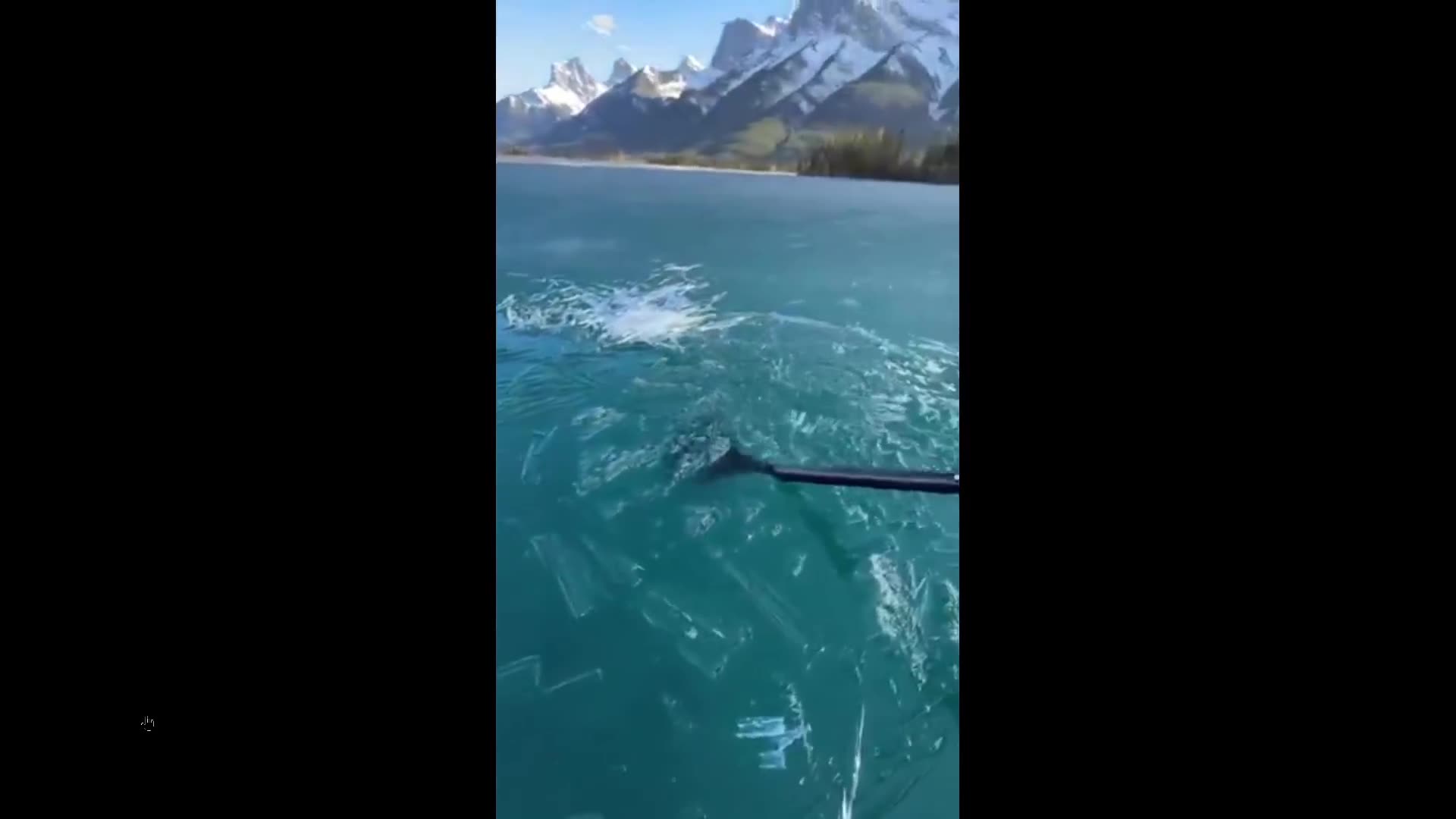 How freaky does this ice look? Ever hear of Candle Ice? It' real - read ...