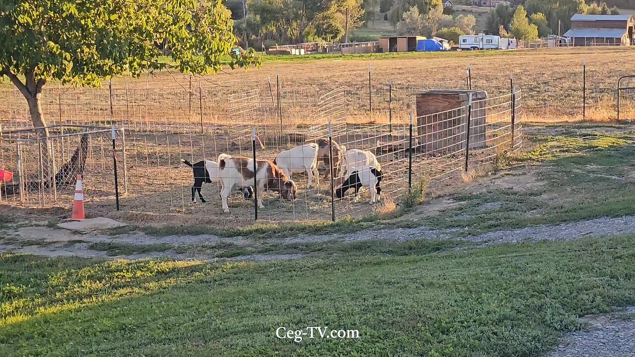 Graham Family Farm NW: 7:30 PM August 18 2025