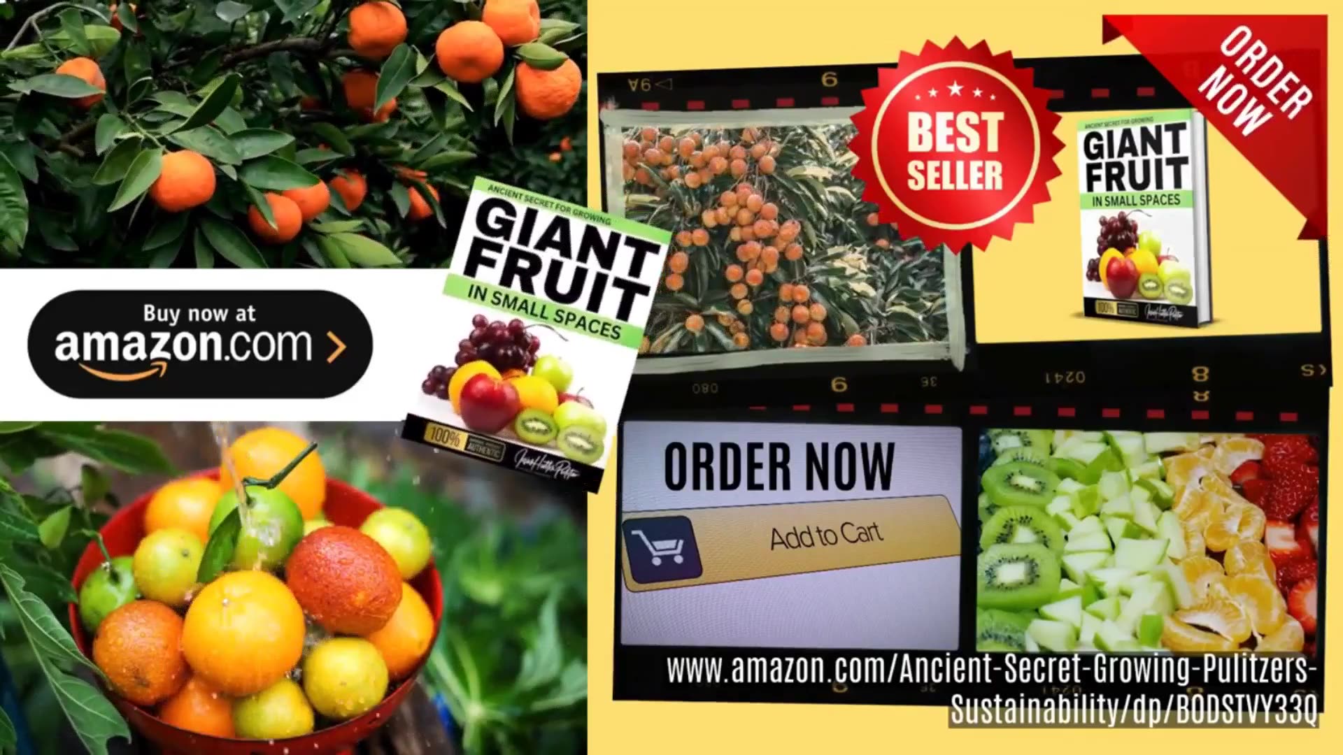 Special Guest Tom Renz