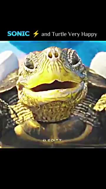 Sonic And The tURTLE hAPP