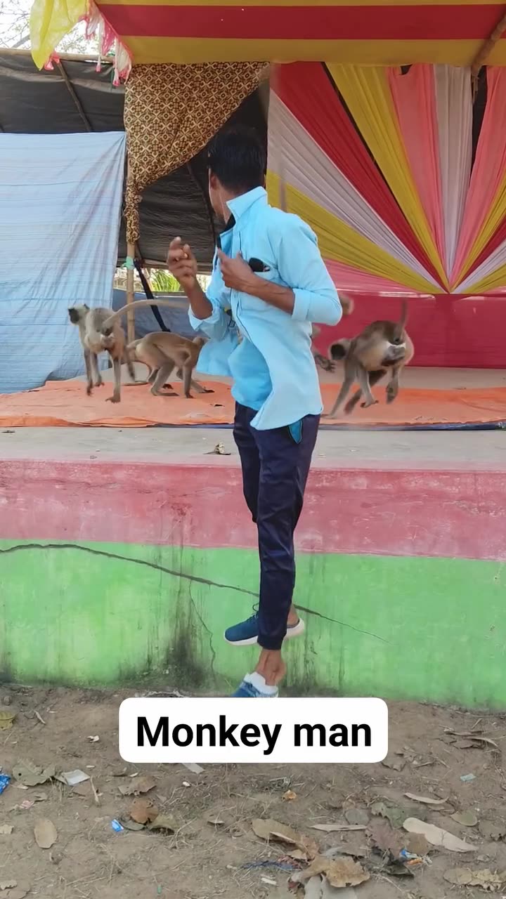 The man fun with monkeys😂