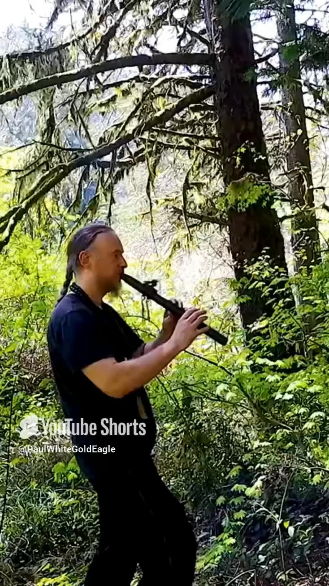 Native American Flute in Nature 🕉 Washington State with Paul White Gold ...