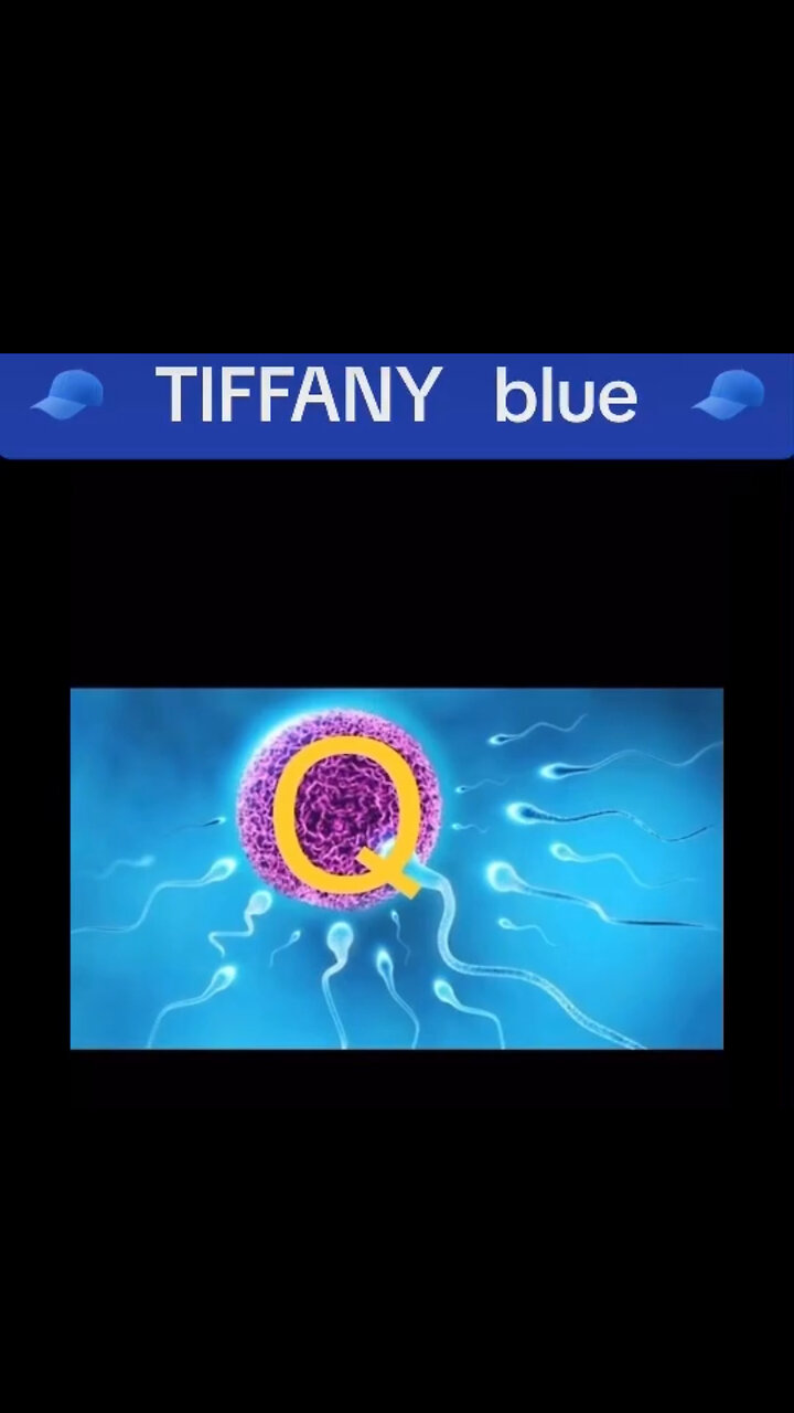 Neg48; Point of Conception~Blue Flash💙, Gematria, Archangel Michael, JFK 🤯