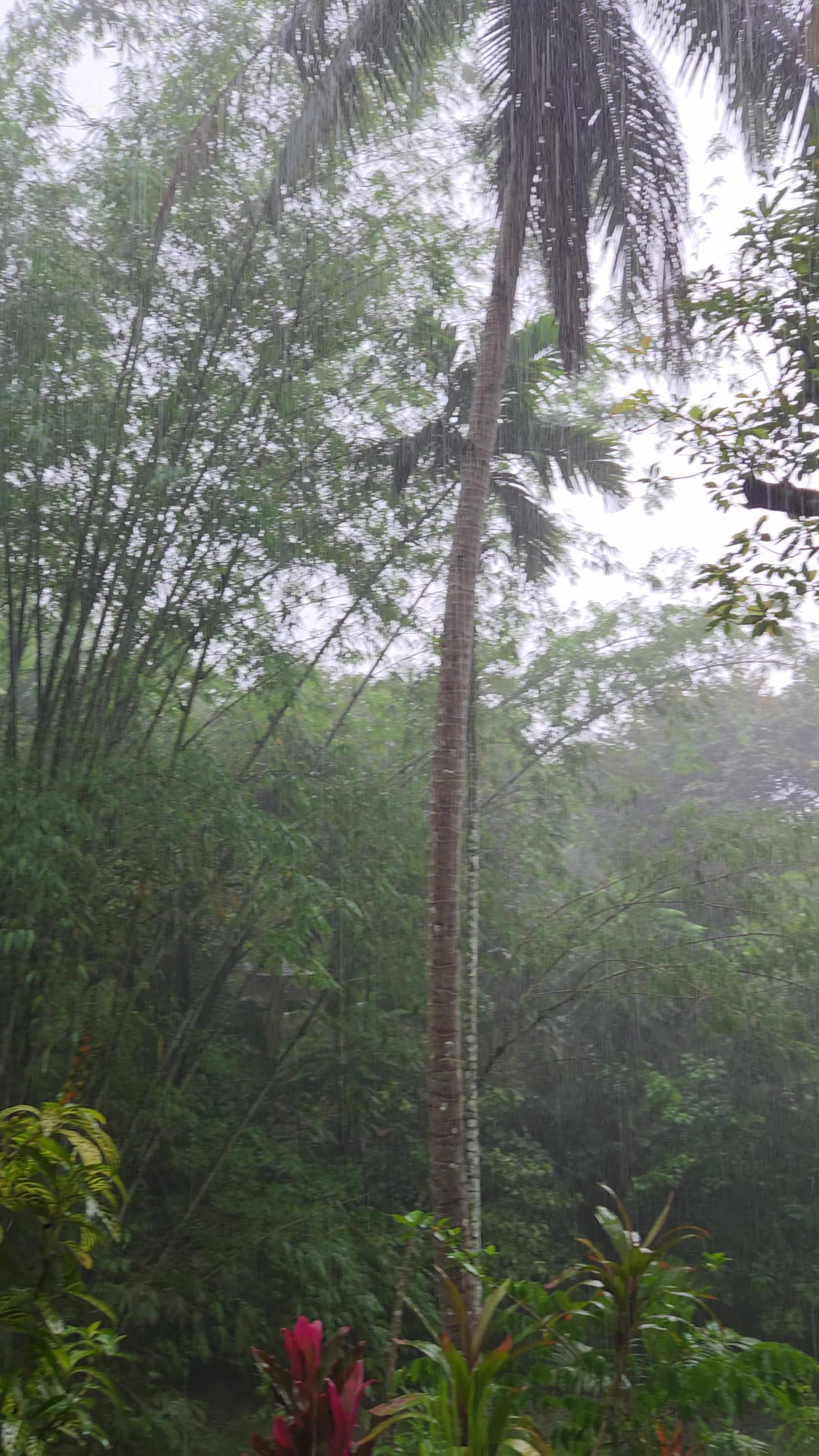 Dry One Second, Swimming the Next: Welcome to the PHILIPPINES!