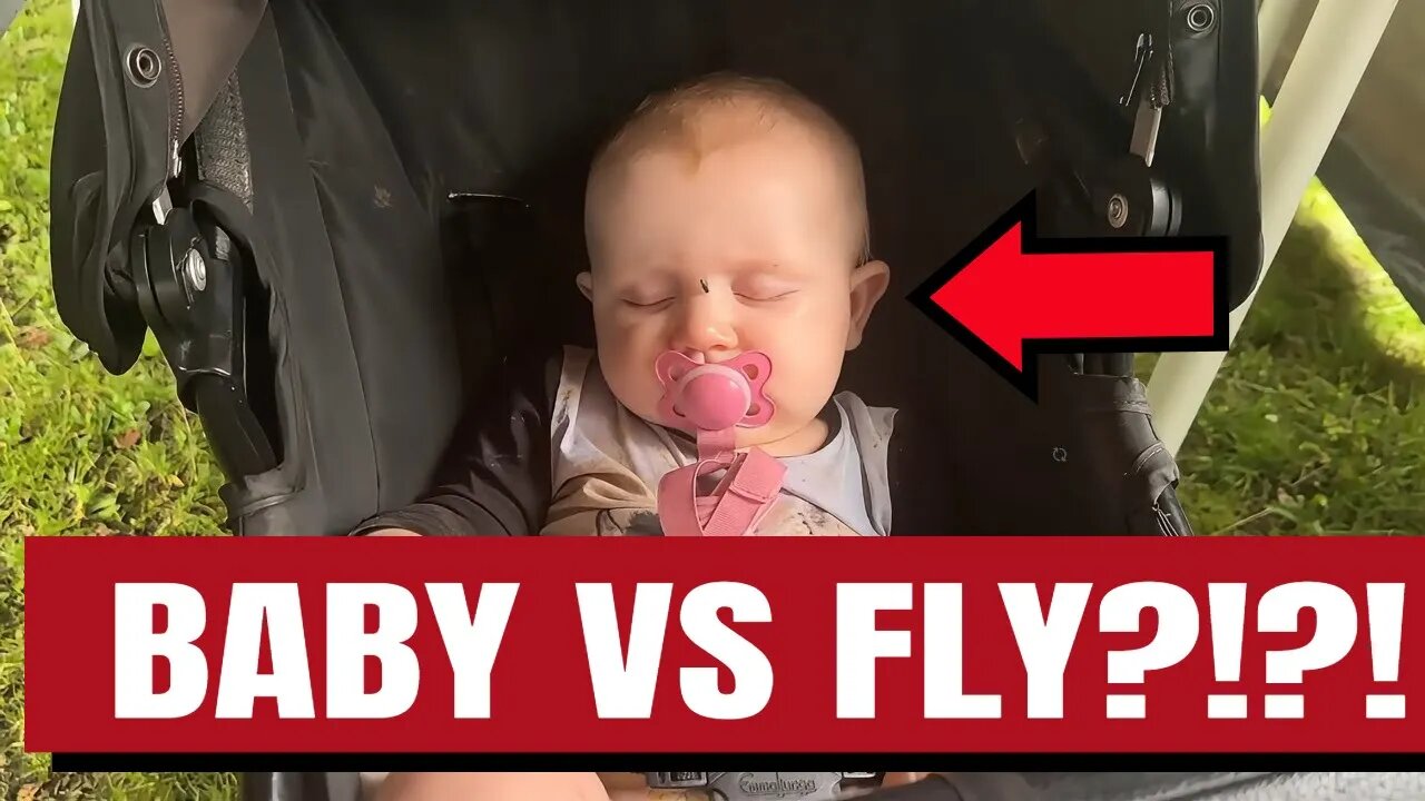 Baby Kayla vs Fly | Hilarious Sleeping Baby Moment Caught on Camera! 😱