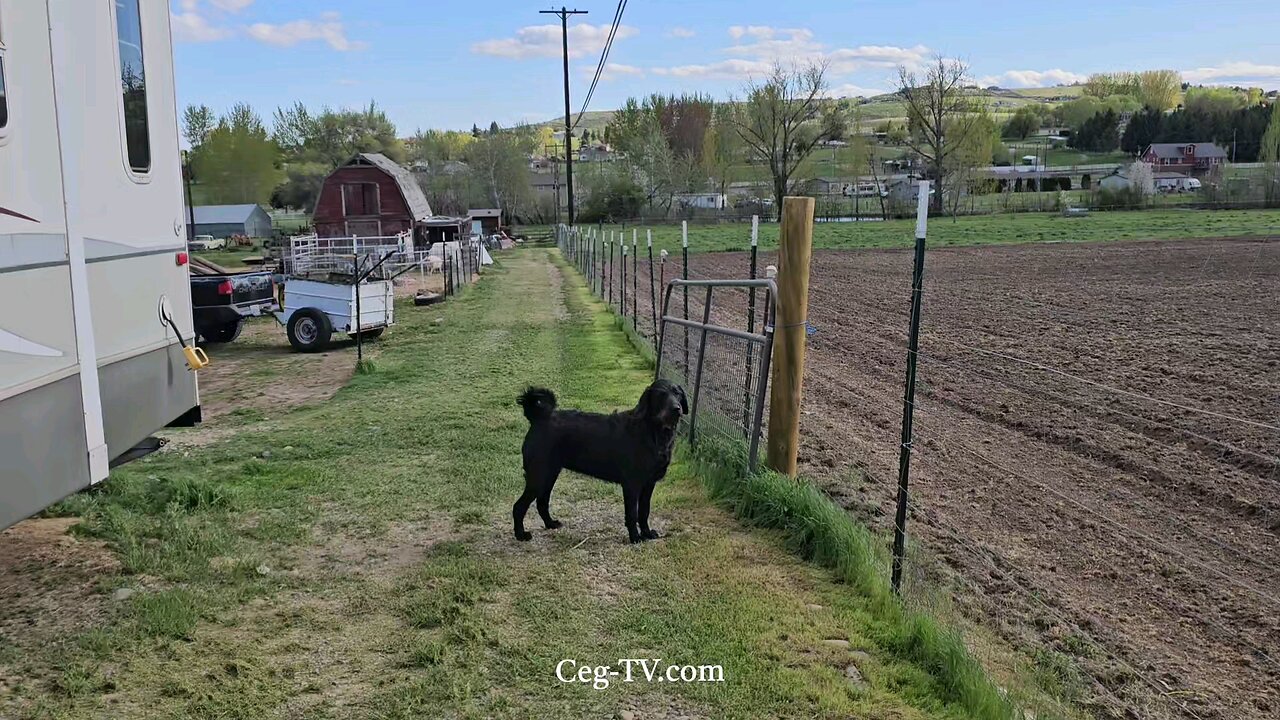 Graham Family Farm: 4:50 PM April 21 2025