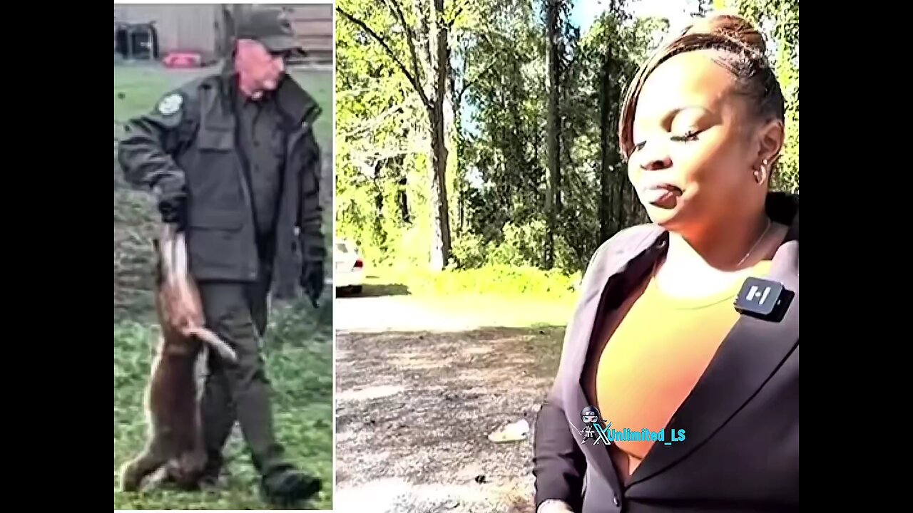 Mom Goes Full Planet of the Apes: Shoots Escaped Research Monkey ...