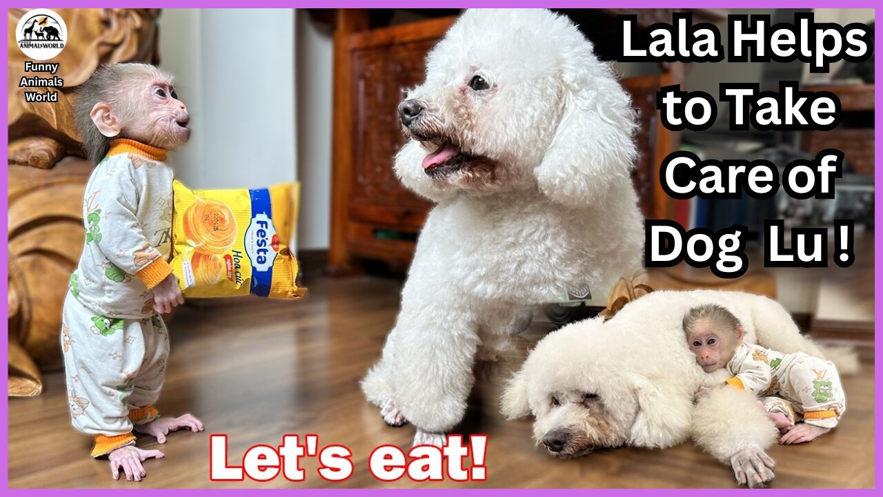 Lala helps Thuy take care of dog Lu