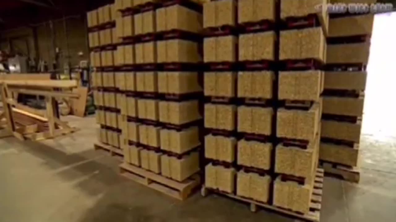 HEMP HOMES - FIRE RESISTANT & ENERGY EFFICIENT