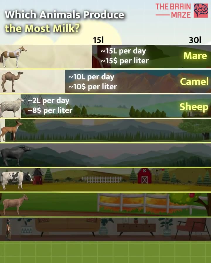Animals that produce the most milk