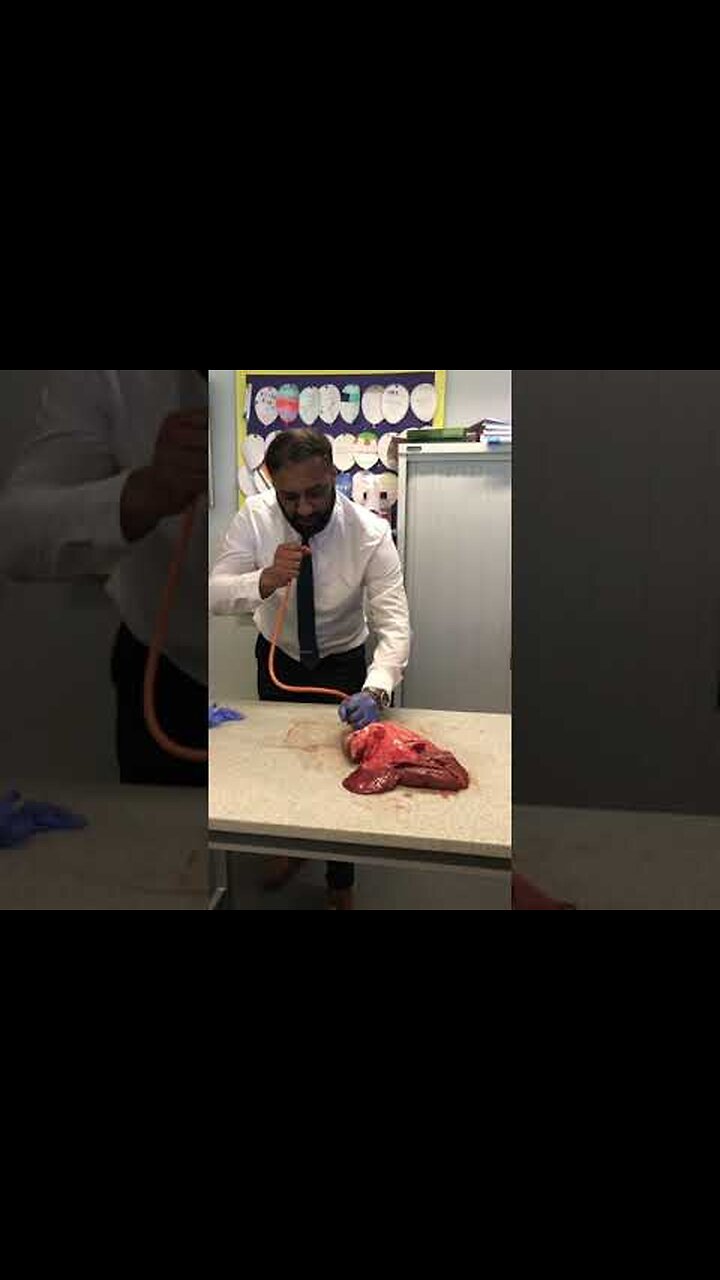 Lung inflation in😱😱 Science Lesson #science #teacher #biology