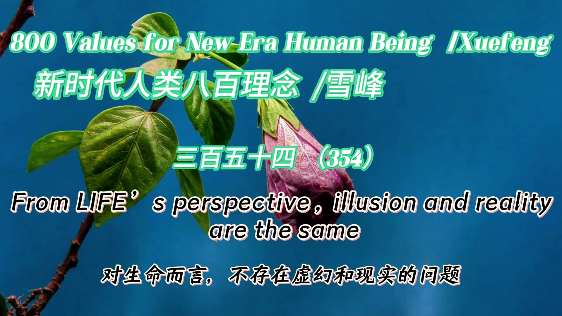 800 Values for New Era Human Being（354）