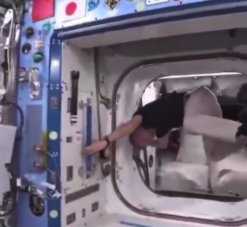 NASA Astronaut seen playing cricket in space
