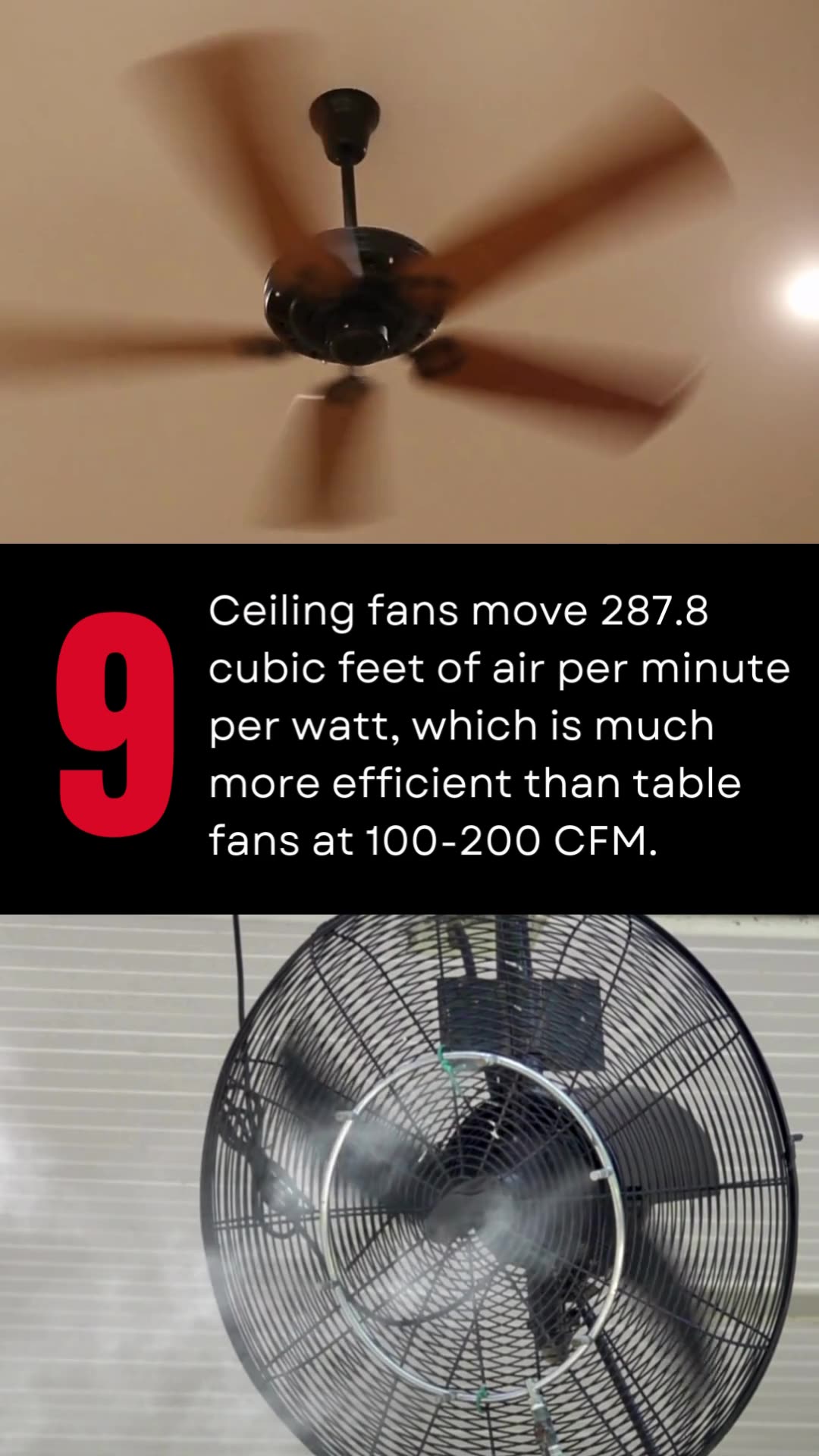 10 Fan Fun Facts