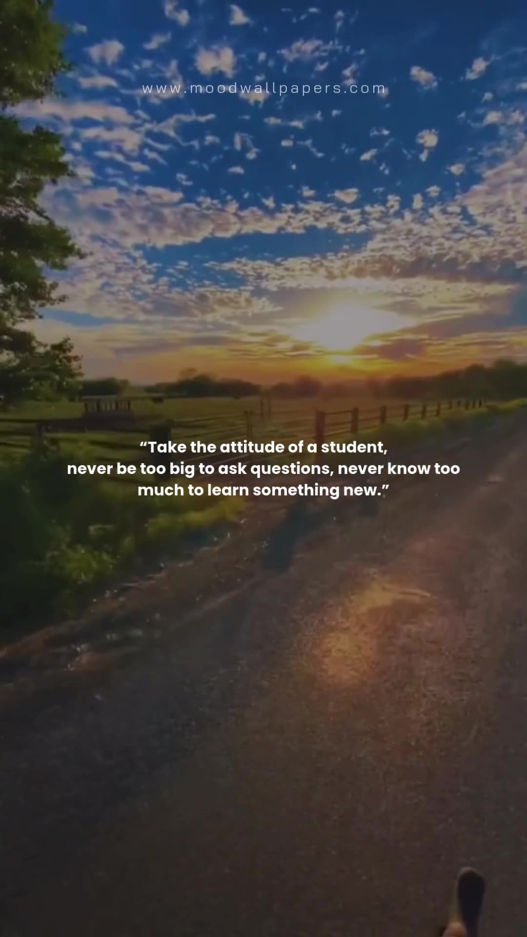 Take the attitude of a student, never be too big to ask questions ...