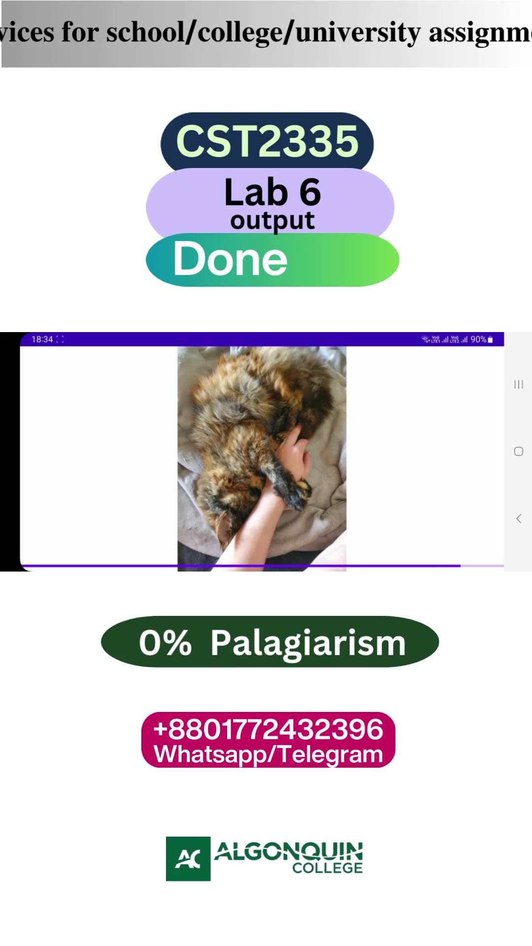 Student Work (lab) | CST2335 Lab 6 output|Android TV Cat Image App ...