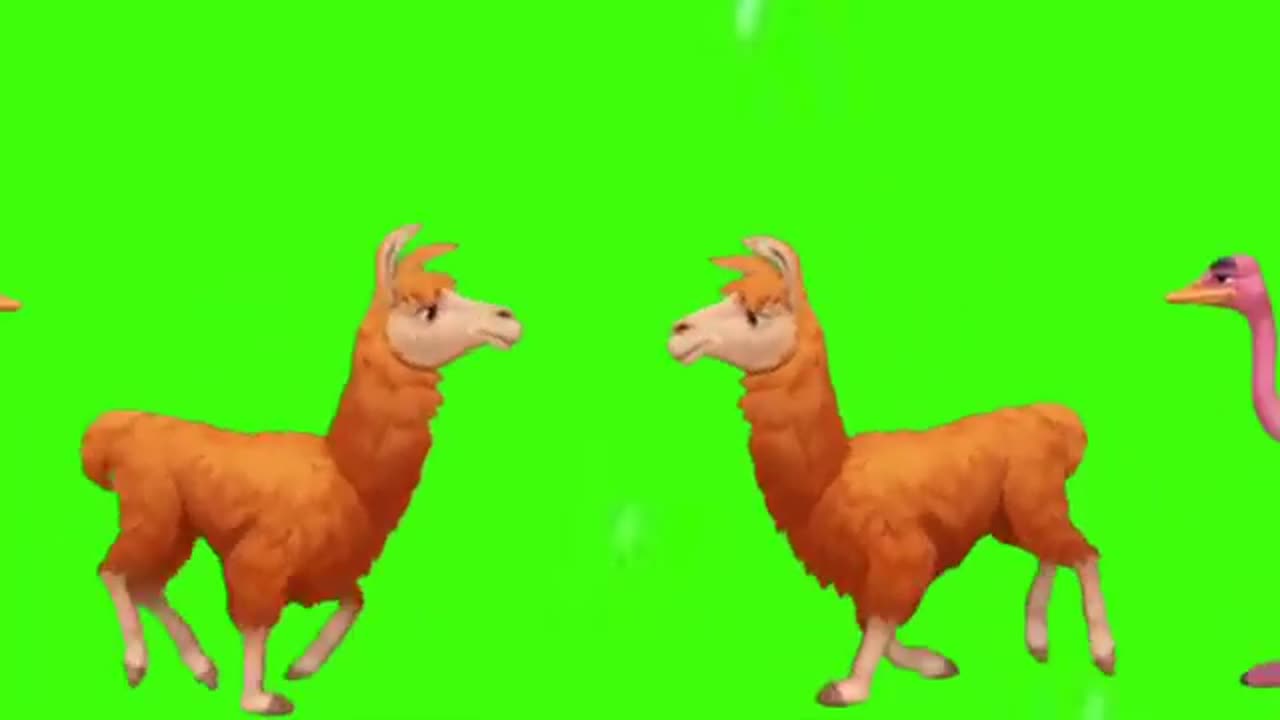 🎬 Hilarious Green Screen Animals in the Wildest Scenes! 😂