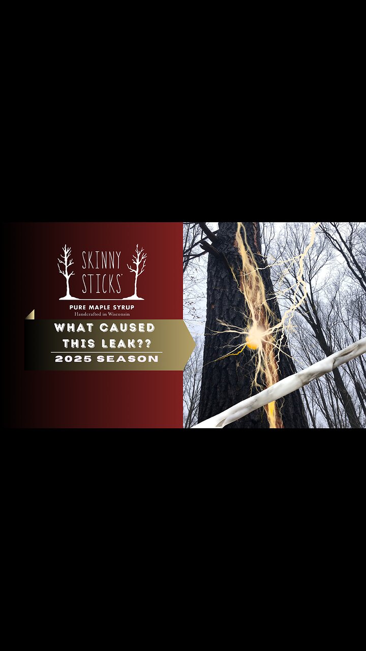 2025 Syrup Season | Crazy leak in our vacuum line | Skinny Sticks ...