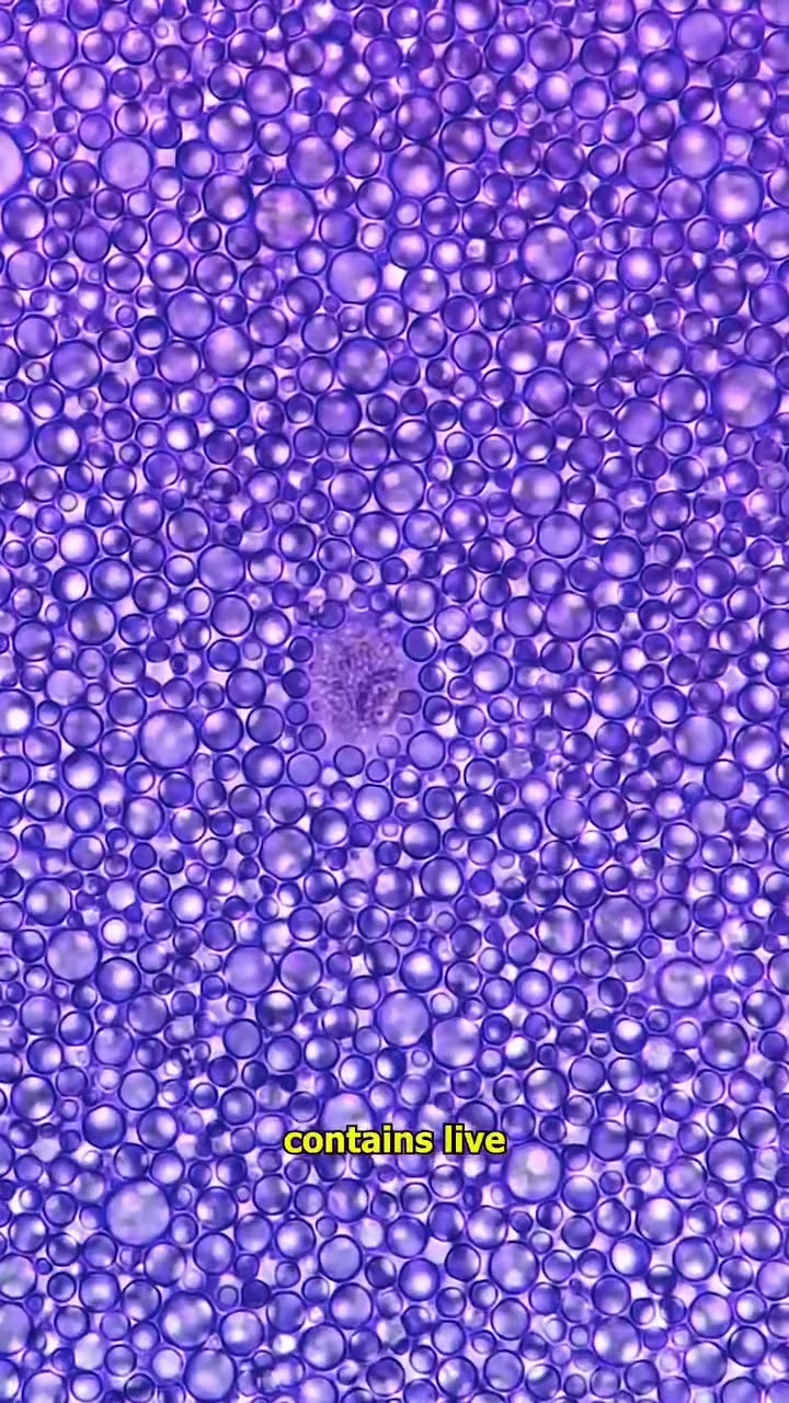 Human Breast Milk Under The Microscope Reveals Something Interesting!