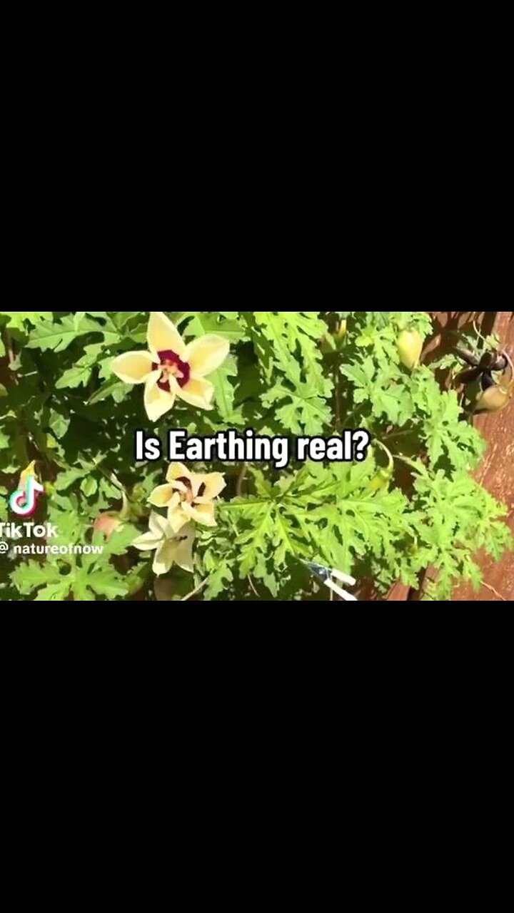 "Unlock Wellness: Engaging Video Compilation on Earthing and Grounding ...