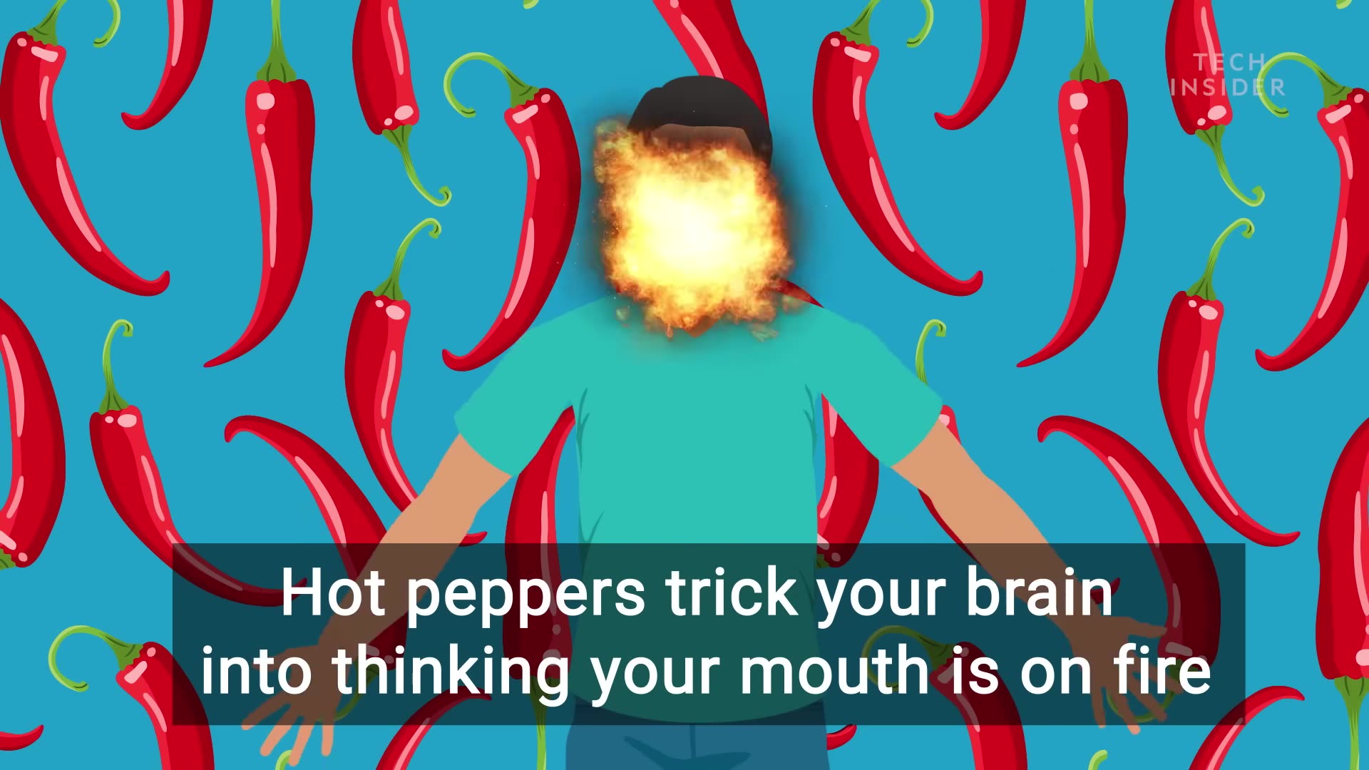 How Eating Spicy Food Affects Your Brain And Body The Human Body