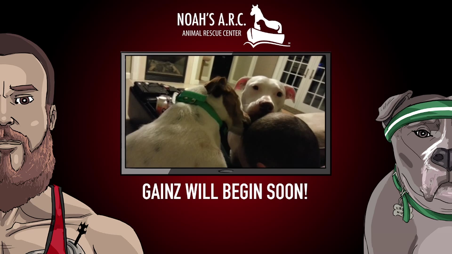 LBL Session w/Hank-a-Tank [Week 18] - Leg Day // Animal Rescue Stream :)