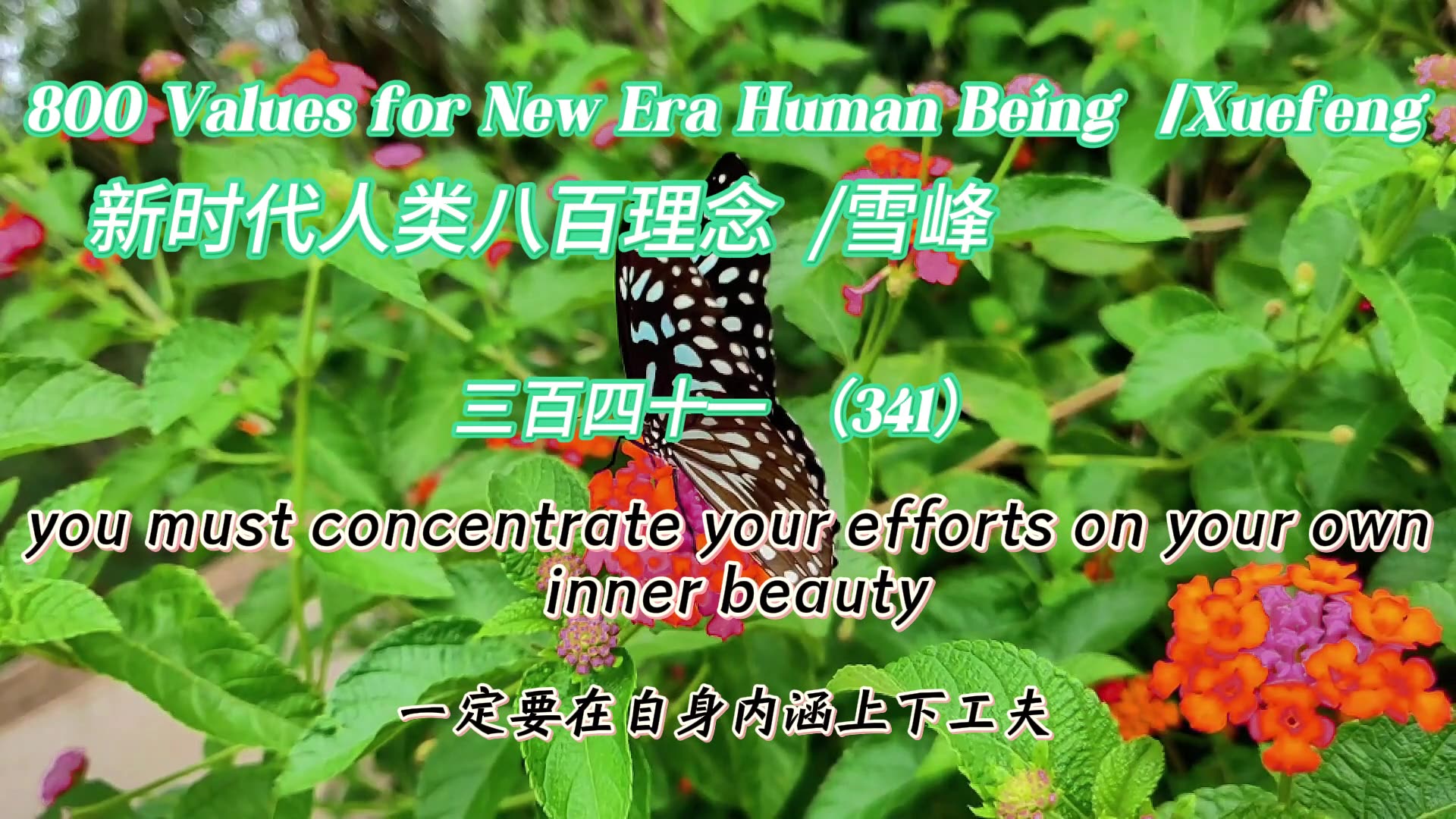 800 Values for New Era Human Being（341）