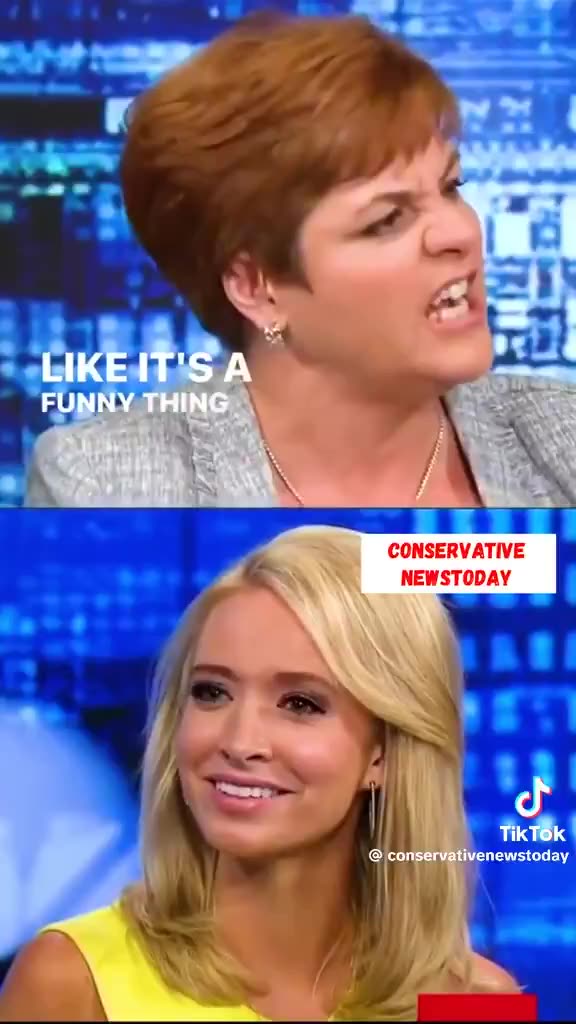 That funny exchange between Kaleigh McEneny and a CNN idiot