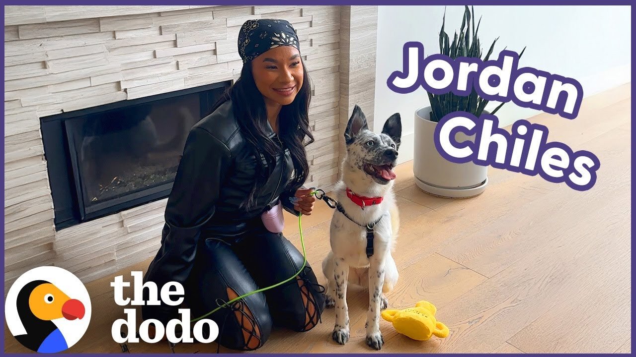 Jordan Chiles Goes On A Dodo Dream Date | The Dodo