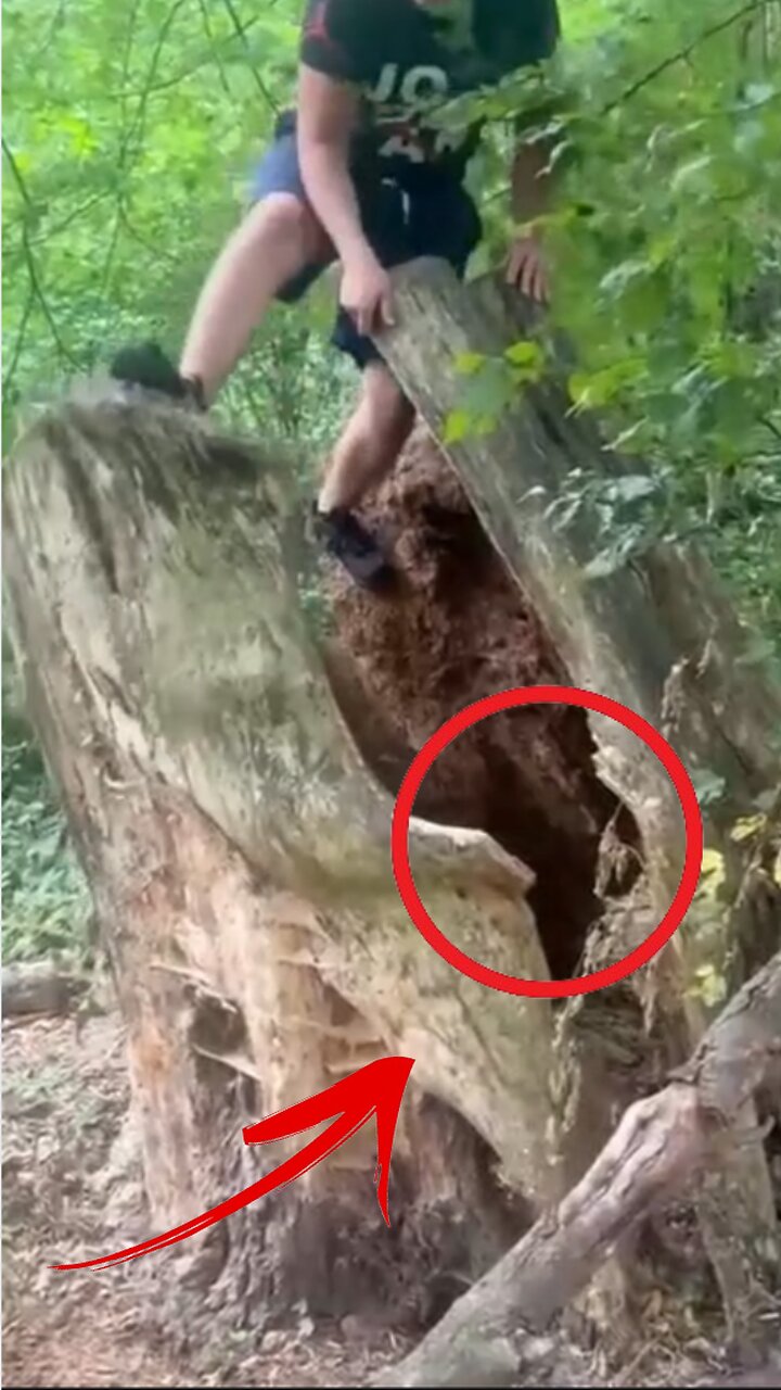 ULTIMATE EPIC FAILS 🔥 | Funniest Animated Fails You Can’t Unsee 😂