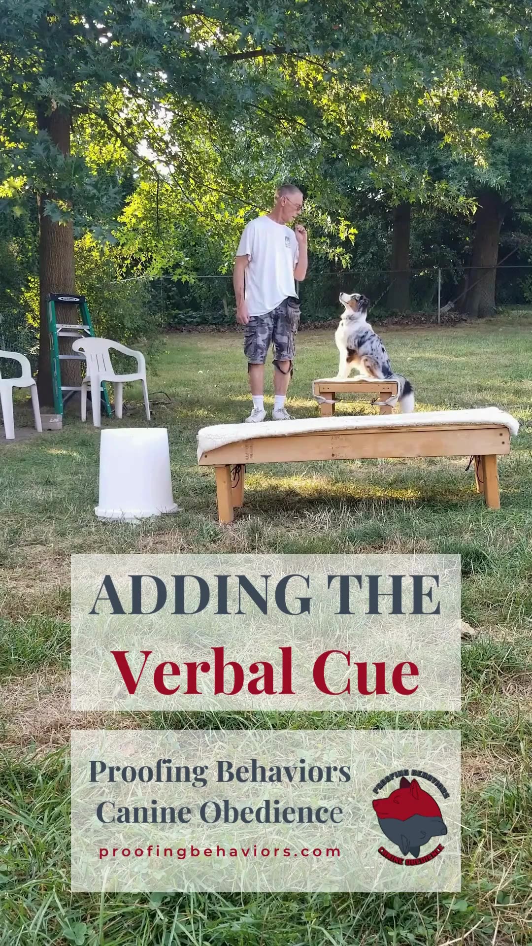 Back to the Basic Adding Verbal Cue Short 5