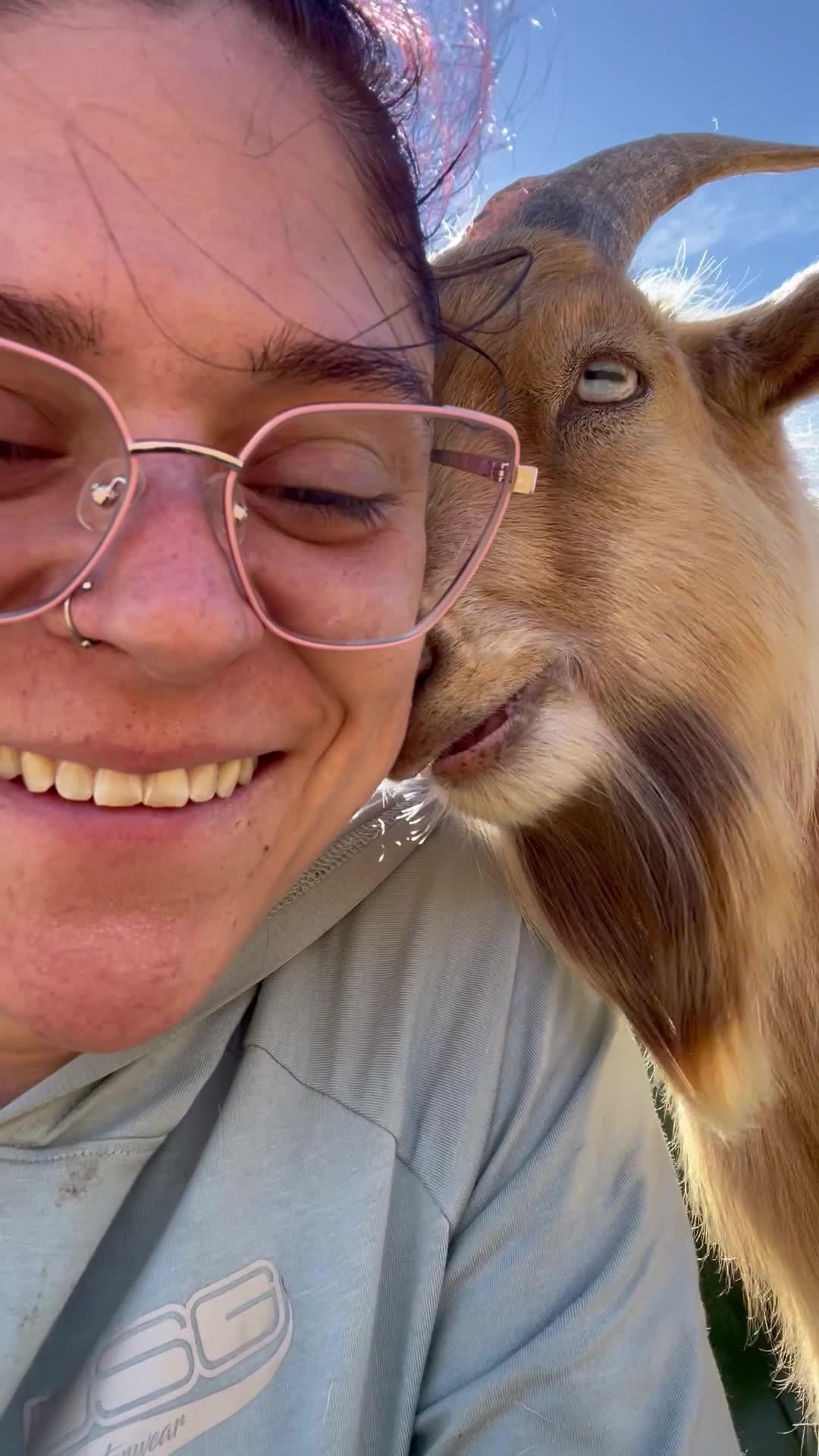 Pygmy Goat Gently Nibbles Owner's Cheeks