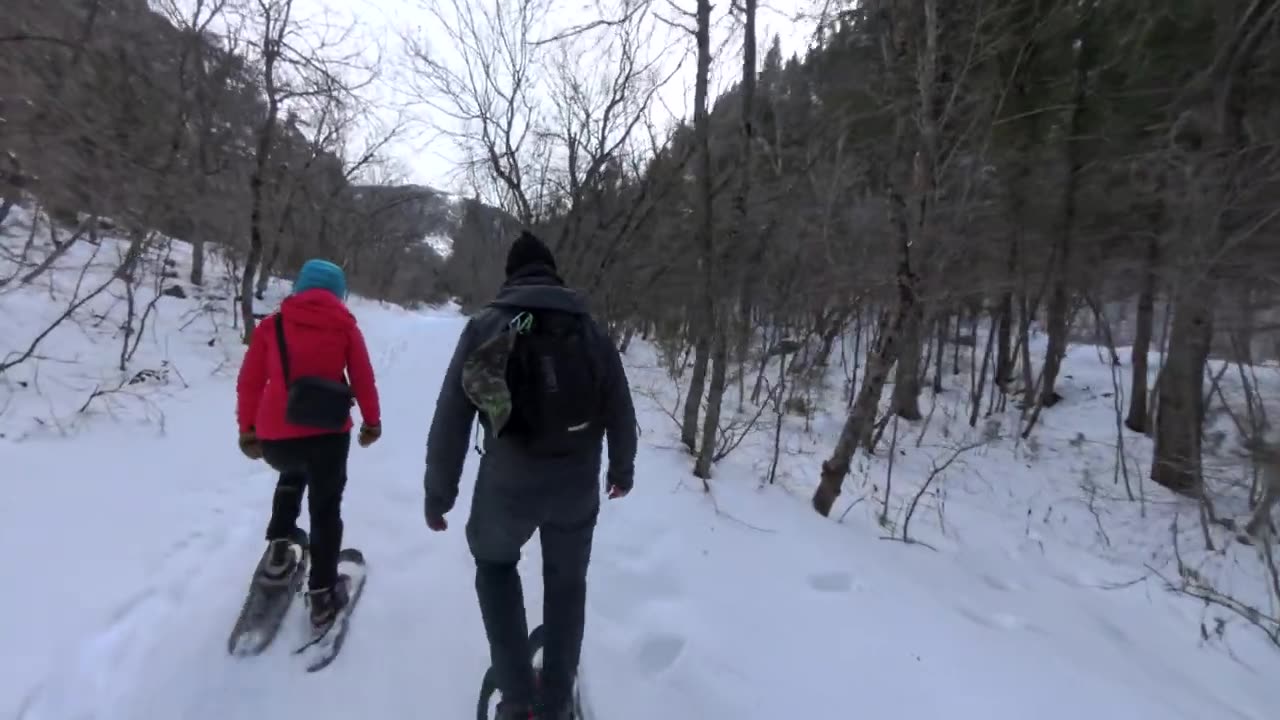 Winter Camping in Freezing Temperatures | Campfire Cooking ...