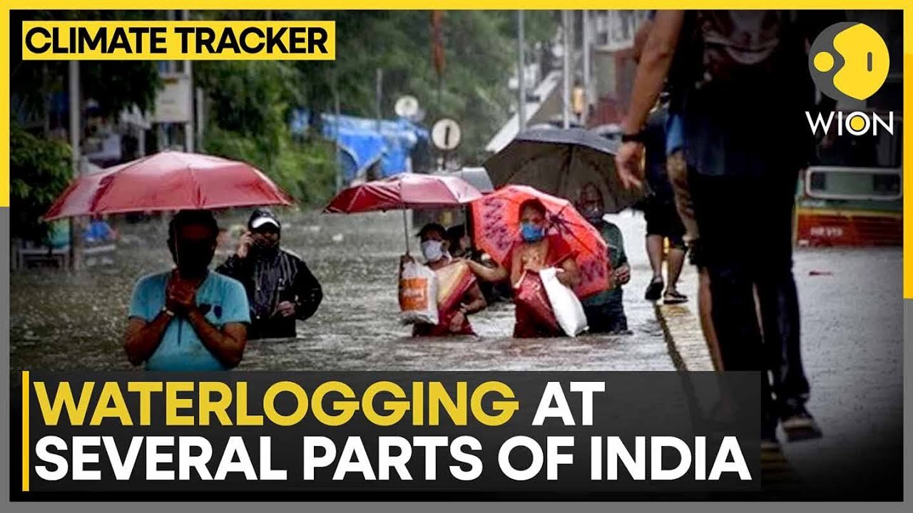 India Monsoon: Heavy Rains Bring India To A Standstill | World News ...