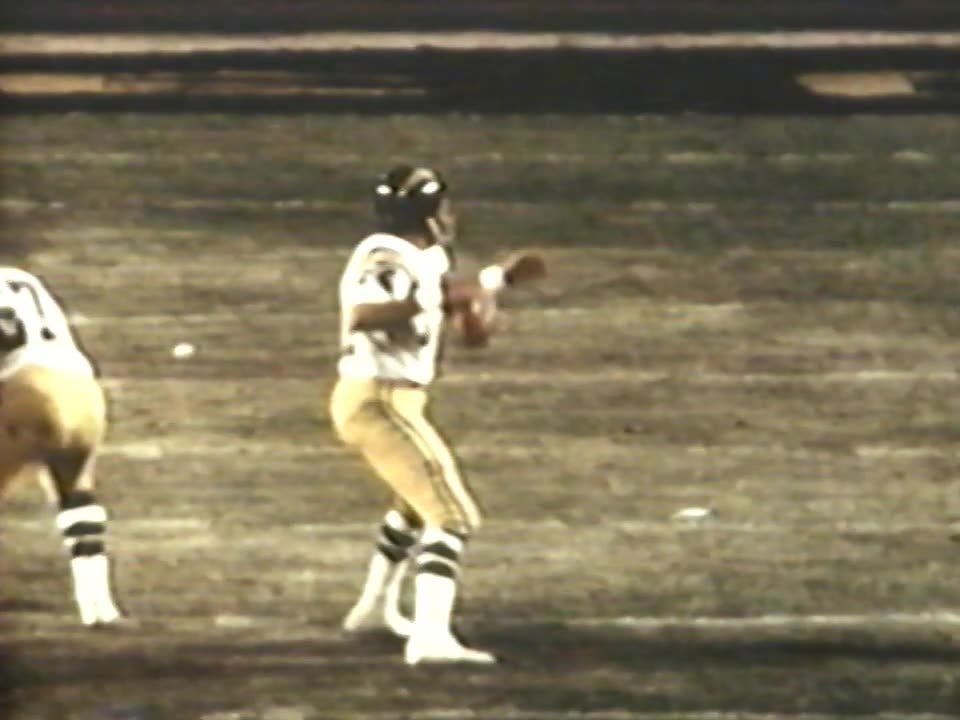 How To Watch Pro Football [Full VHS]