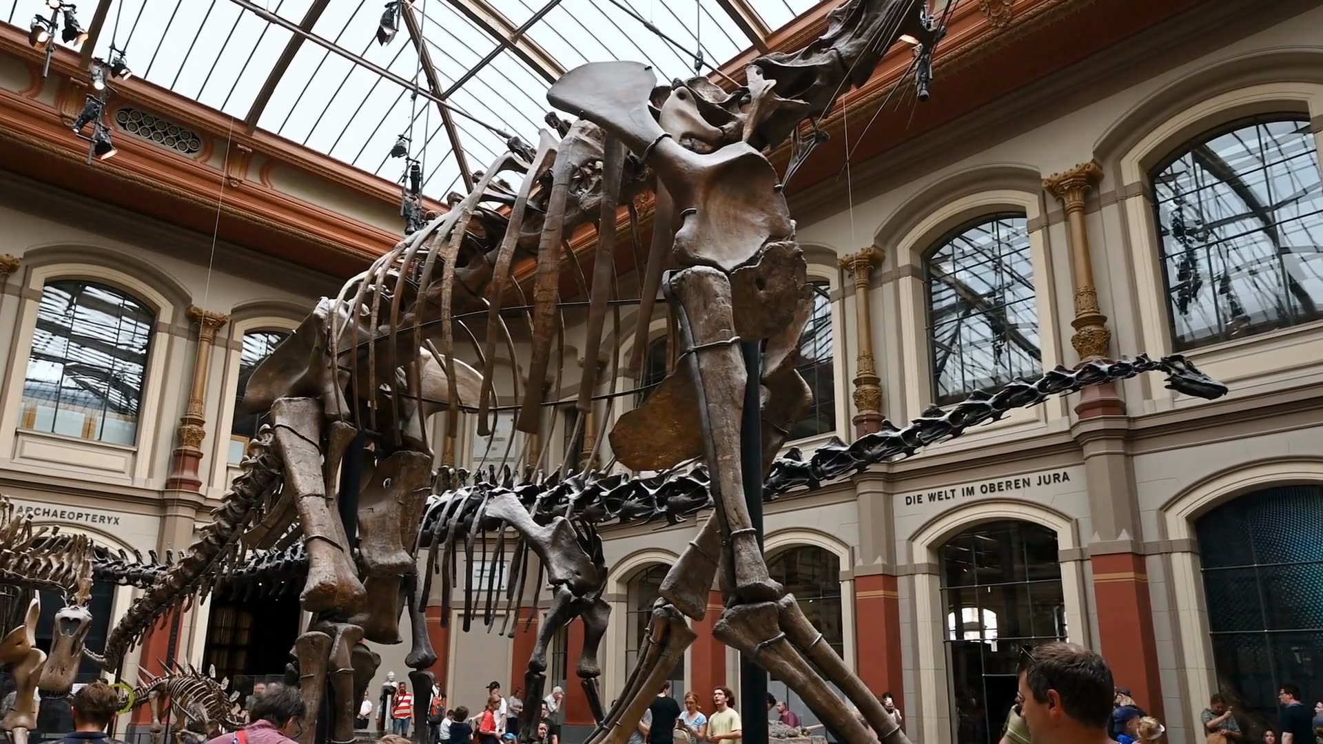 Barnum the T-Rex Poop!