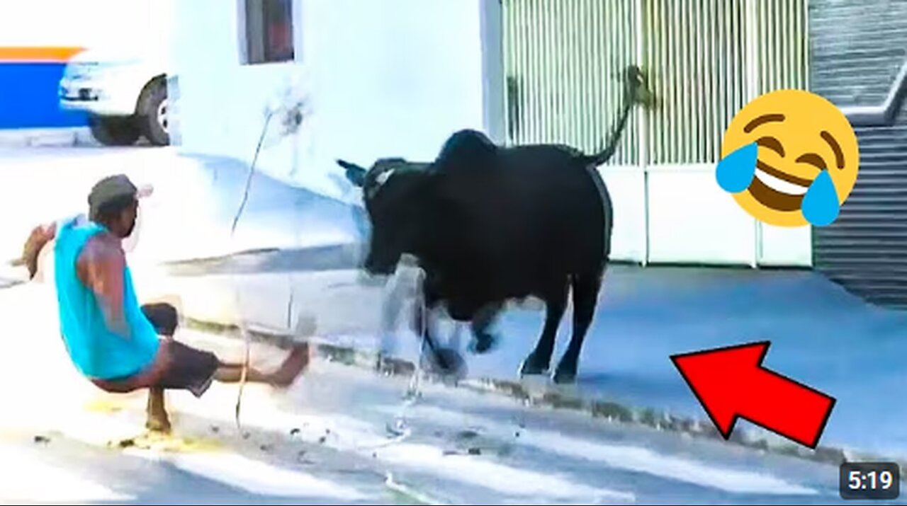 Funniest Animal Videos Ever Part 1 ёяшвёярхёяри