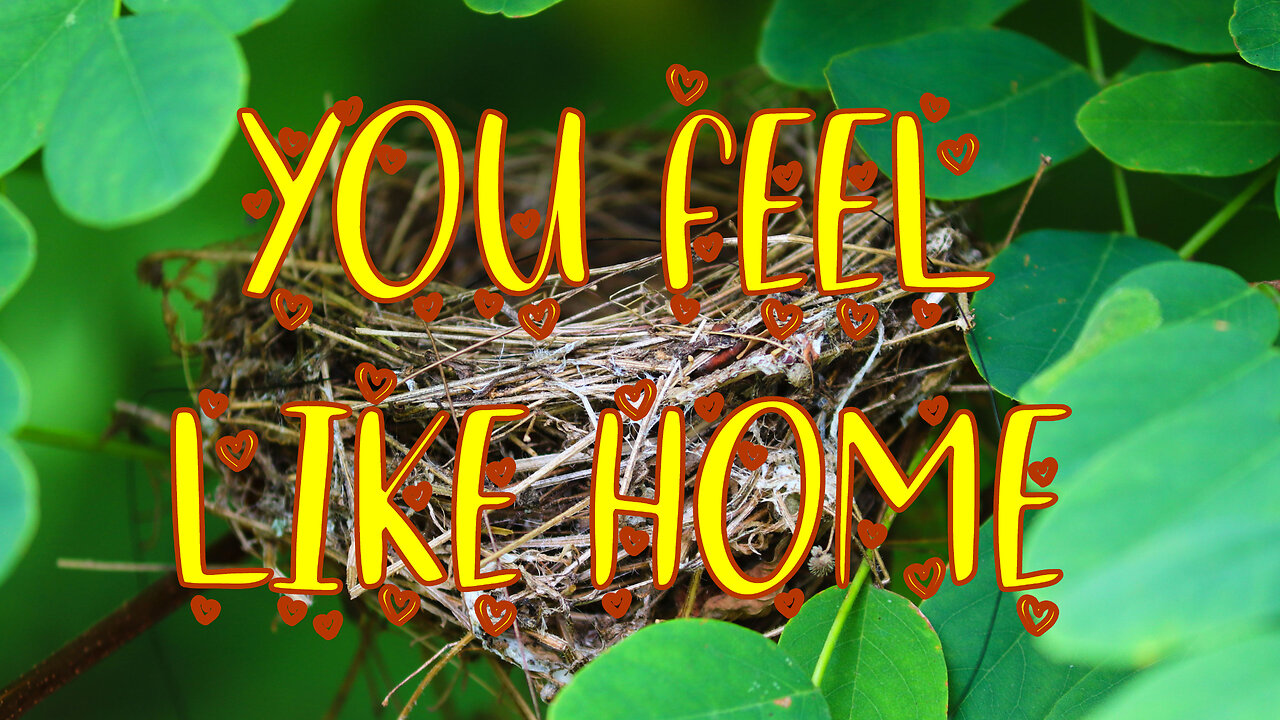 You feel like Home - new love song #Tocxicalor #music #lyricvideo #lyrics
