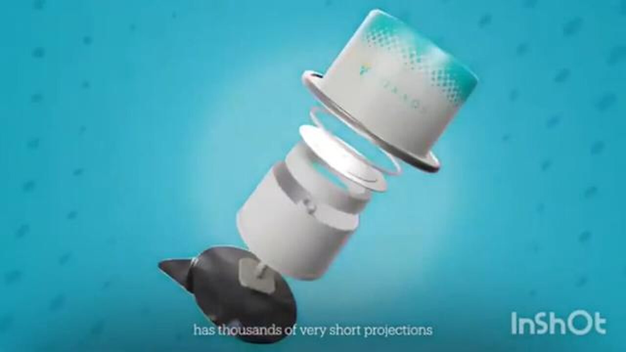 Greek word for 'Mark' = Charagma/Charax which illustrates an ancient ...