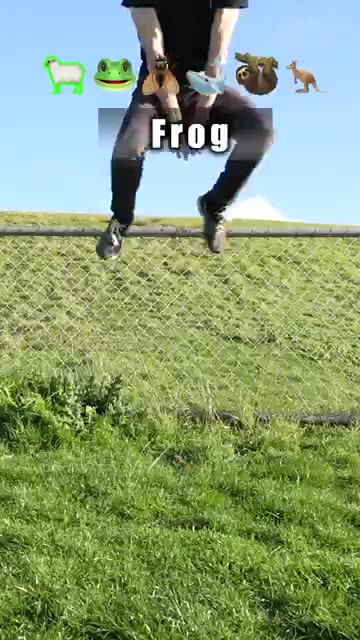 HOW ANIMALS move ..so Funny.try not to laugh ..😂😂😂