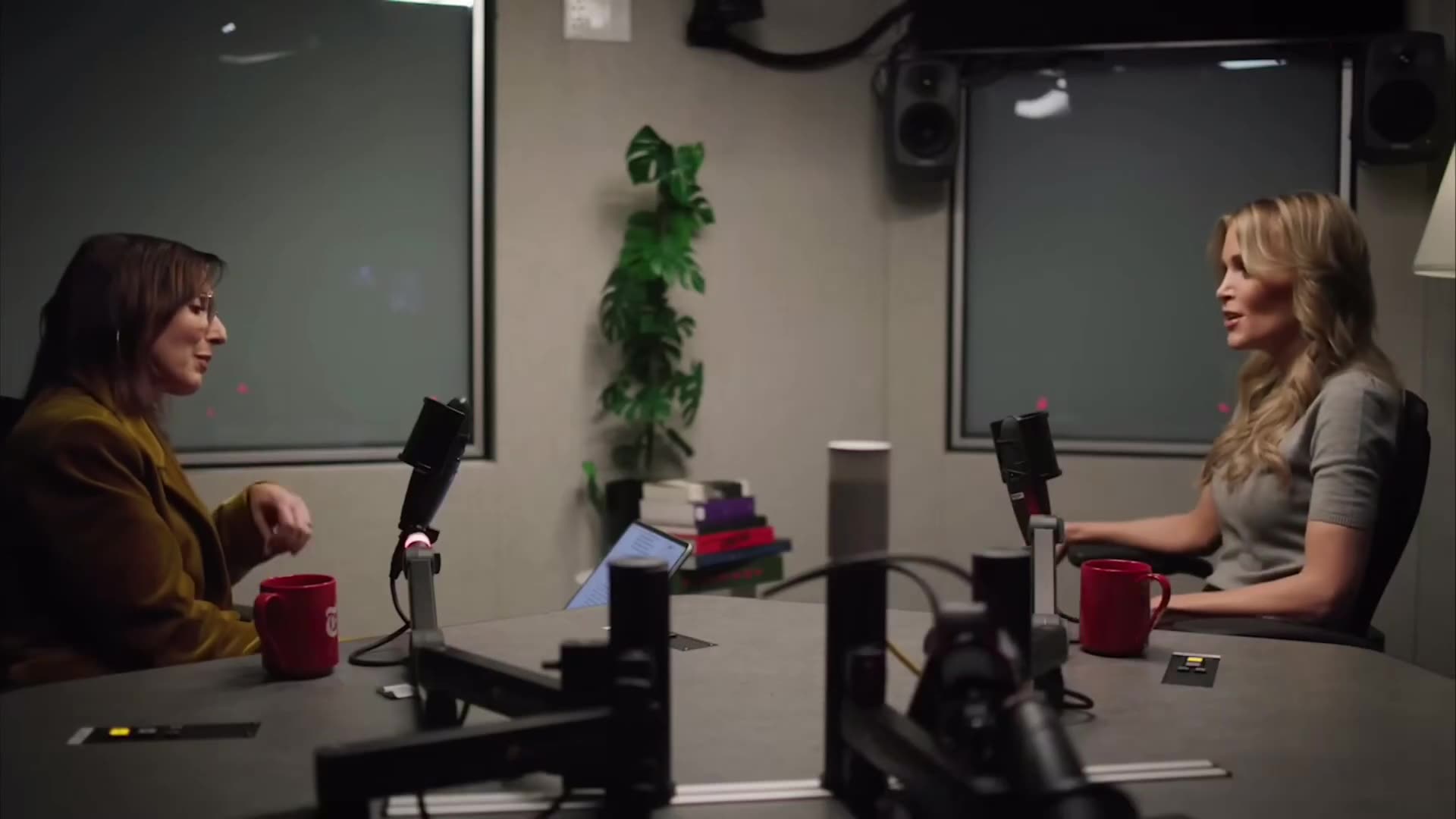 Megyn Kelly Shut Down NYT Journalist’s Narrative on Trump