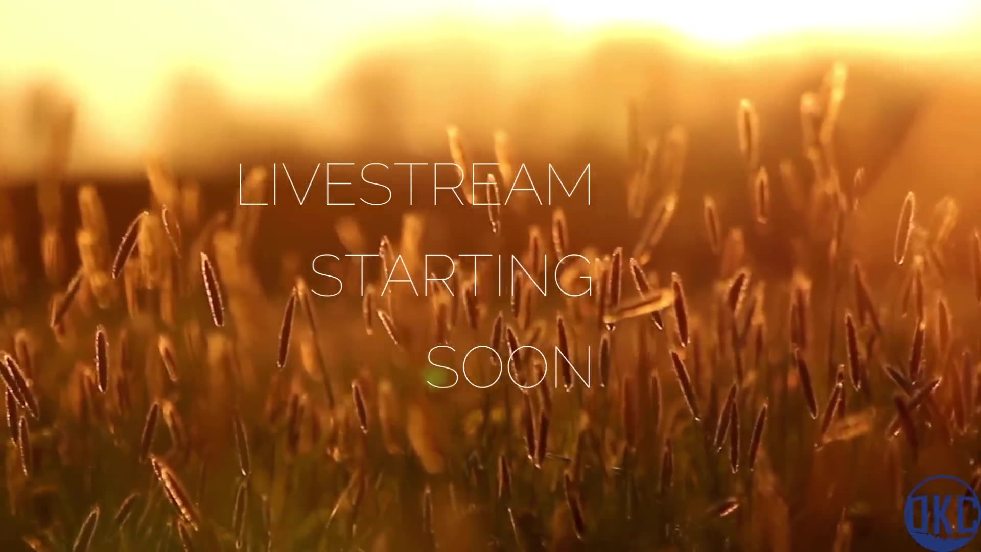 Proverbs 4 - Pastor Dillon Awes | Anchor Baptist Church