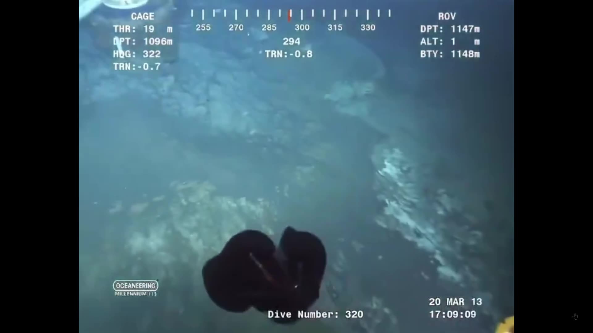 Caught on vid - creature from sci-fi at thousands of feet below the ...